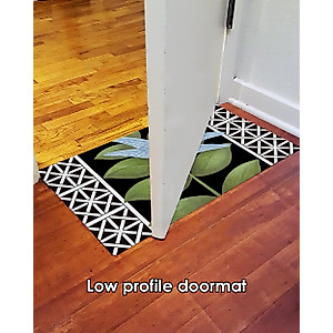 Toland Home Garden 800053 Dragonfly On Black Summer Door Mat 18x30 Inch Spring Outdoor Doormat for Entryway Indoor Entrance