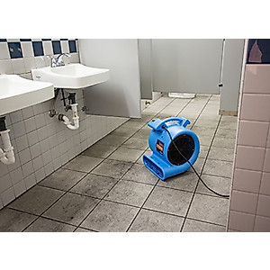 Soleaire Max Storm 1/2 HP Durable Lightweight Air Mover Carpet Dryer Blower Floor Fan for Pro Janitorial Cleaner, Blue, 1 Pack