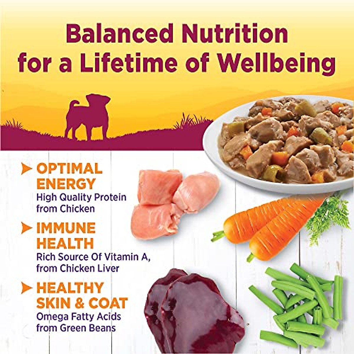 Wellness Petite Entrees Mini Fillets Natural Wet Small Breed Dog Food, Roasted Chicken, Beef, Carrots & Green Beans, 3-Ounce Cup (Pack of 24)