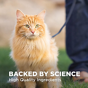 Nutramax Laboratories Dermaquin Skin Support Sm/Med Dogs 5-30 lbs & Cats 60 ct