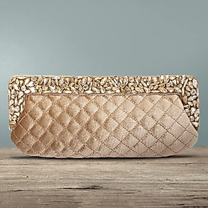 Aheli Indian Clutch Purses for Women Occasion Handmade Evening Handbags Party Bridal Clutch (C08BR), Brown