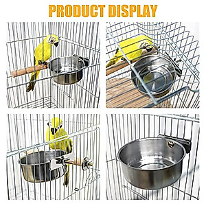 TWUTGAYW 2 Pack Bird Feeding Dish Cups, Stainless Steel Parrot Food Bowl Feeding Food Water, Bird Feeder Bowl for Parakeet African Greys Conure Cockatiels Lovebird Budgie Chinchilla
