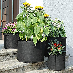 T4U Fabric Plant Grow Bags with Handle 10 Gallon Pack of 5, Heavy Duty Nonwoven Smart Garden Pot Thickened Aeration Nursery Container Black for Outdoor Flower and Vegetables