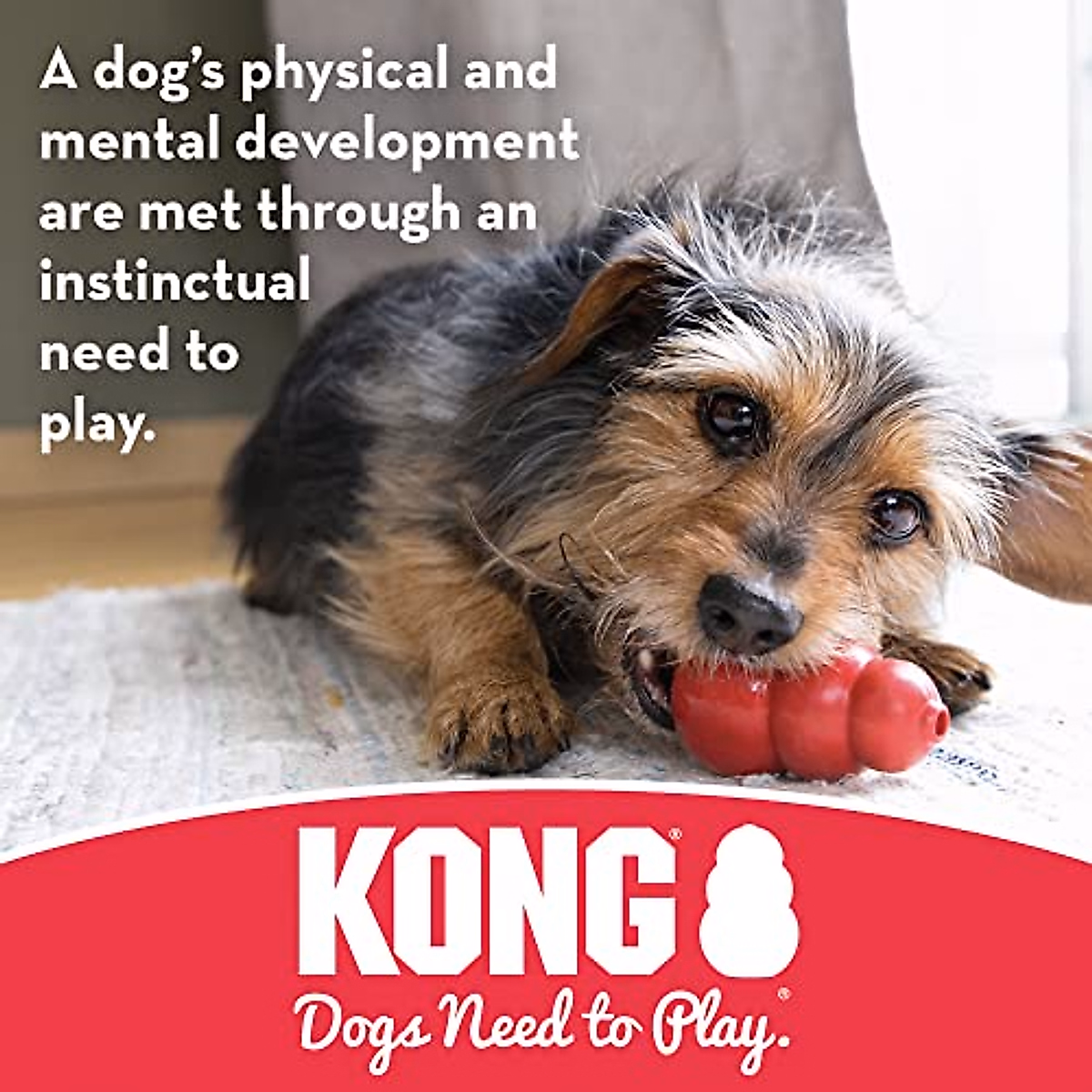 KONG - Dental Stick - Durable Rubber, Teeth and Gum Cleaning Dog Toy - for Medium Dogs