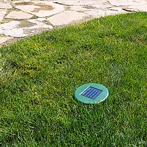Good Life, Inc. Solar Safeguard | Solar Powered Mole, Gopher & Vole Repeller | Ultrasonic Sounds & Vibrations | Large Coverage Area | Water & Weather Resistant