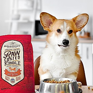 Stella & Chewy's Raw Coated Beef Recipe Dog Food 10lb