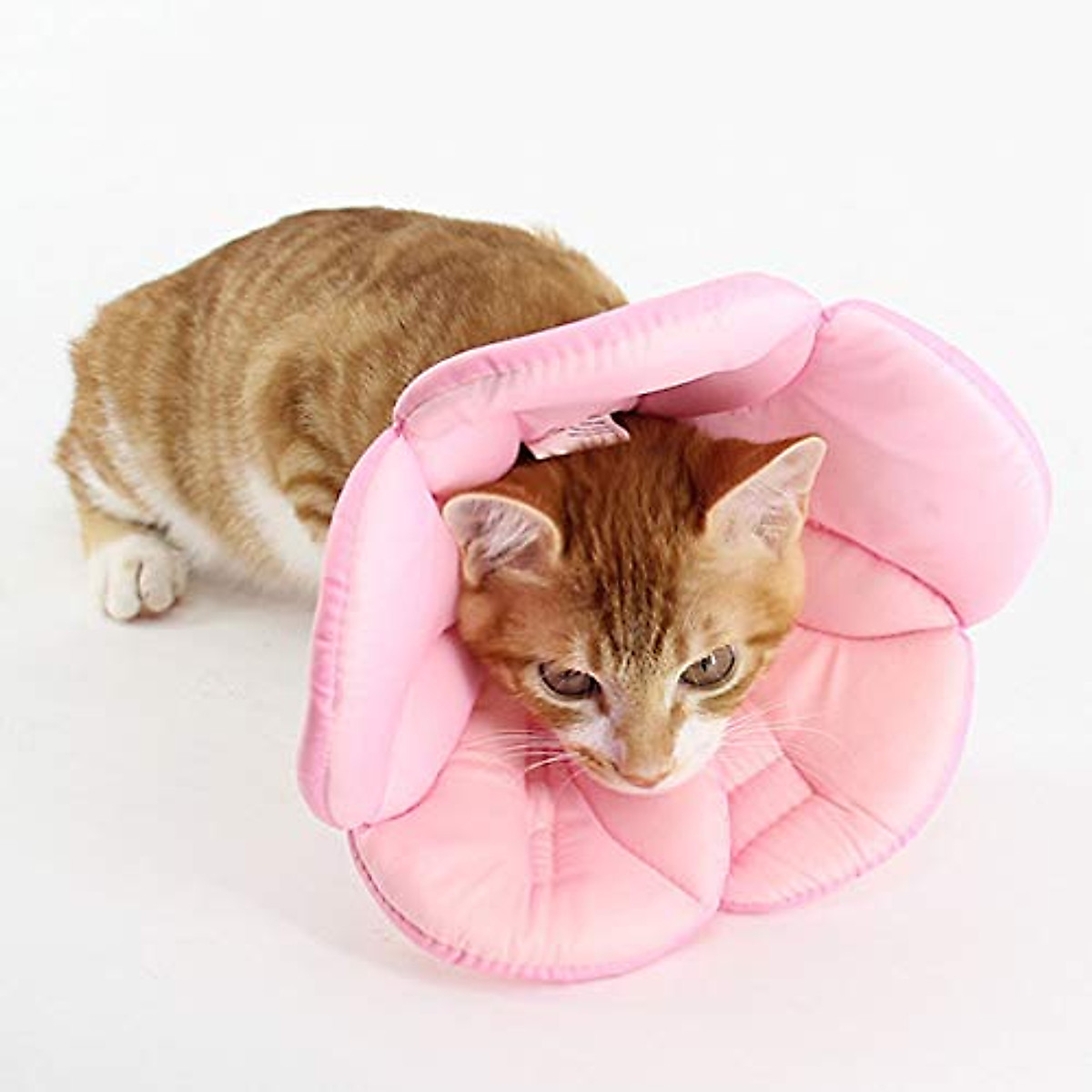 POPETPOP Pet Recovery Collar - Adjustable Dog Cat Cone Collar Soft Elizabethan Protective Collars Dog Cones After Surgery for Cat and Puppy (Pink)