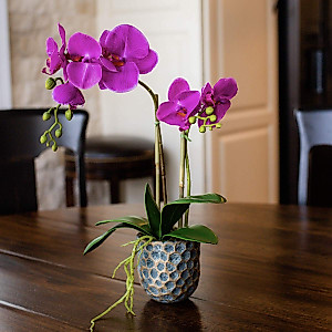 QUI-LO Perennial Gardens 18"-22" H Artificial Orchid Flowers, Fake Orchid, Artificial Orchids, Faux Orchid, Silk Orchids, Fake Flowers, Orchids Artificial Flowers (Rose)