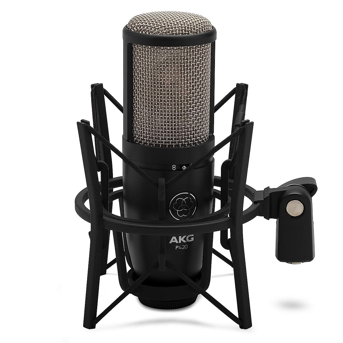 AKG P420 Condenser Microphone Bundle with Studio Stand, Pop Filter and XLR Cable (4 Items)
