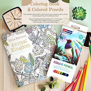 Get Well Soon Gifts for Women, Care Package Get Well Gift Basket Relaxing Spa Self Care Gifts, After Surgery Sympathy Blanket Tumbler 11-Piece Feel Better Gift for Best Friend BFF Mom Sister