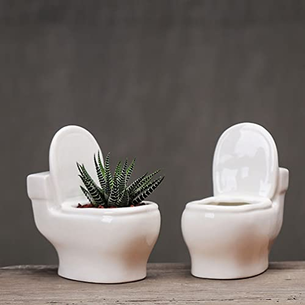 Plants Decor 2pcs Ceramic Toilet Plant Pot Succulent Planter Mini Flower Pots Bonsai Pot with Drainage Holes for Home Office Table Decoration Office Decor