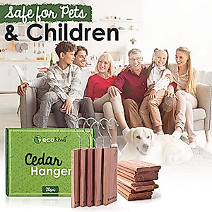 ecoKiwi Cedar Blocks for Clothes Storage - 20 Pack Cedar Hangers - Natural Cedar Wood for Closet Planks - Pet Safe Hanging Cedar Planks with Sandpaper - Scented Closet Freshener Protection & Control