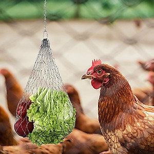 Upgraded Extended Hanging Feeder, Chicken Vegetable Hanging Feeder Toy,Chicken Vegetable String Bag Poultry Fruit Holder Chicken Cabbage Feeder Treat Feeding Tool,Chicken Veggies Skewer (Packag1)