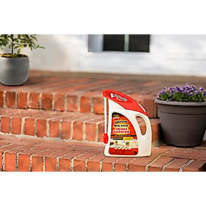 Spectracide Bug Stop Home Barrier Indoor Plus Outdoor Bug Control With Flip & Go Sprayer Kills Ants, Roaches and Spiders on Contact, 0.5 Gallon, 1 Pack