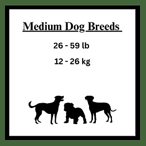 AccessiPets Dog Chews Bundles for All Sized Dogs, Rawhide Free Alternative 7 Inch Highly Digestible Retriever Rolls Bundle with 1 Dog Waste Roll (Rabbit, 2 Count)