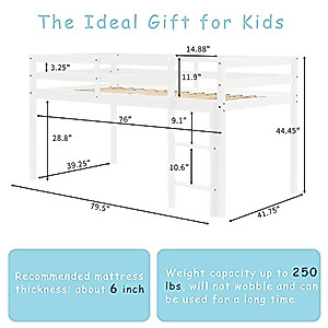 Tmosi Low Loft Bed Twin,Solid Wood Kids Twin Bed Frame with Ladders and Guard Rails,Space Saving Twin Size Loft Bed for Girl Boy,No Box Spring Needed,Easy to Assembly (Built-in Ladder-White)