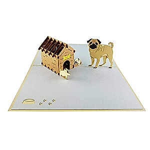 iGifts And Cards Happy Pug Family 3D Pop Up Greeting Card – Birthday, Friendship, Thank You, Congratulations, Celebration, Super Cute, Dog, Puppies, Card For Dog Lovers