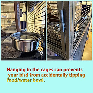 kathson Parrot Feeding Dish Cups,Stainless Steel Bird Food Water Bowl Parakeet Feeder Birds Cage Ball Toys with Clamp Holder for Cockatiel Macaw Budgies Small Animal Chinchilla (7 Pcs)