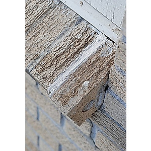 Sashco 15020 10.5oz Sashco Sealants Gray MorFlexx Grout Repair, 10.5-Ounce - 3 Pack