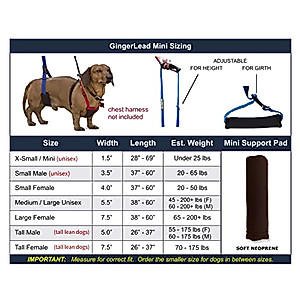 GINGERLEAD Dog Sling Hip Support Harness, X-Small Fits Little Pets Under 25 lbs and Dachshunds with IVDD, Spinal Disc Disease, or Back Injuries. Assist Elderly, Paralyzed, or Recovering Pets.