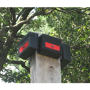 Nite Guard Solar NG-001 Predator Control Light,Single Pack, Black