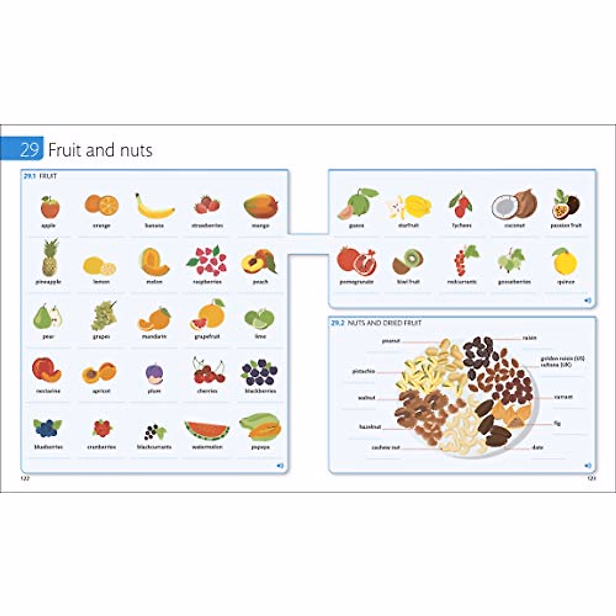 English for Everyone: English Vocabulary Builder (DK English for Everyone)