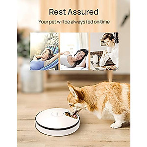 MAICHENG 6 Meal Automatic Pet Feeder-Dry Cat Food Dispenser with Programmable Timer, Portion Control, LCD Display-for Cats Small Dogs-420g