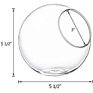 Mkono Plant Terrarium Display Glass Tabletop Succulent Air Plant Planter Globe Microlandschaft House, M