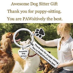 Lywjyb Birdgot Dog Walker Gift Dog Sitter Thank You Gift Dog Sitter Keychain