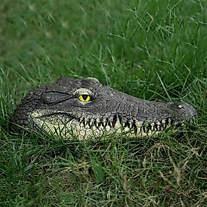 Geniff Floating Alligator Head, Pool Accessories Float Alligator for Koi Pond Decoration and Protection to Scare Heron Away