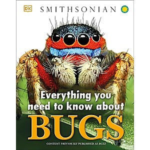 Everything You Need to Know About Bugs
