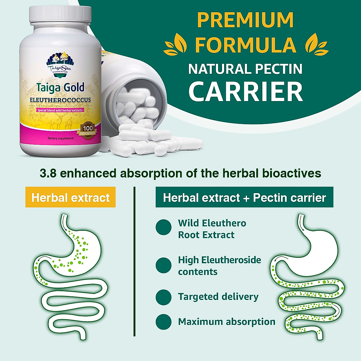 TAIGASEA Wild Eleuthero Root Extract, Herbal Extract Blend with Eleutherococcus for Immunity and Physical Shape, Stamina and Endurance, 100 Vegeterian Capsules