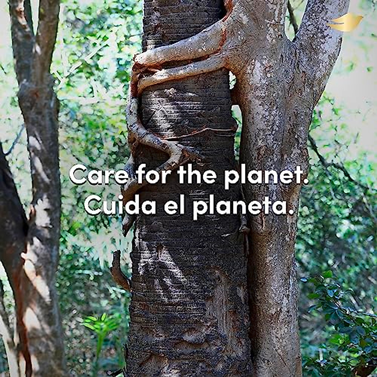 Dove Shampoo and Conditioner Set - Nourishing Secrets Coconut Shampoo and Conditioner, Hydrating Shampoo for Dry Hair, Frizz Control, 31 Oz (2 Piece Set)