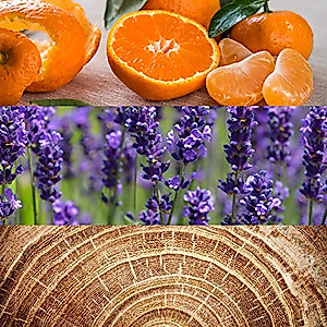 Calvin Klein Obsession for Men Eau de Toilette, 1 Fl Oz