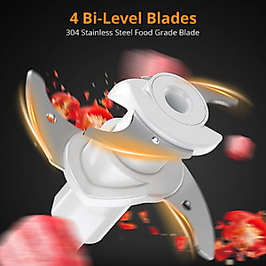 Electric Food Chopper with 2.5 Cup Glass Bowl, Mini Food Processor for Vegetables Meat Fruits Nuts Puree - 2 Speed Kitchen Food Processor With Sharp Blades, 300W