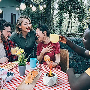 Tabletop Fire Pit Table Top Firepit Portable Mini Fire Pit Concrete Table Top Fireplace Fire Bowl Alcohol Ethanol Fueled Rubbing Smokeless Indoor Outdoor with Stainless Steel Burn Cups of GZGNEEVL