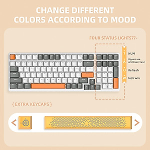 ZIYOU LANG K3 Mechanical Gaming Keyboard with Cloud Wrist Rest, 98Key Rainbow LED Backlit Red Switch Keyboard, Coiled USB to Type C Cable with Detachable Metal Aviator Keyboard for Windows/Mac