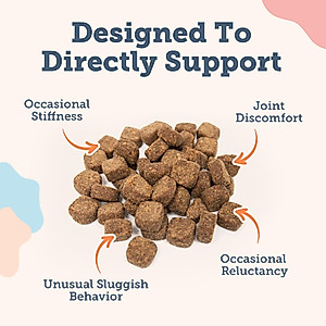 Paw Rangers Joint Chews for Pets 90Ct. - Chondroitin, Glucosamine for Dogs and Cats: Cat and Dog Vitamins: Hip and Joint Support Supplement for Dogs and Cats - Pet Supplies:Cat & Dog Joint Supplement