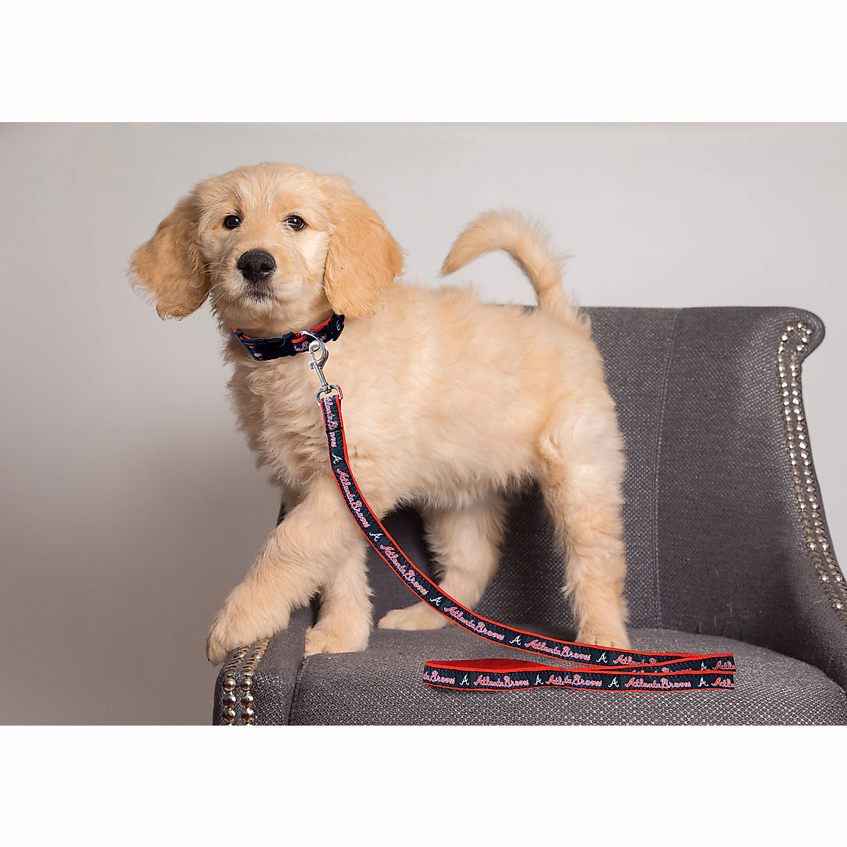 MLB PET Leash, Small, Atlanta Braves Dog Leash, Baseball Team Leash for Dogs & Cats. A Shiny & Colorful Dog & Cat Leash with Emboridered Team Name/Logo Licensed by the MLB