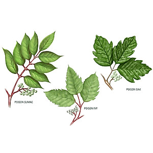 Triple Threat Selective Weed Killer Herbicide for Lawns and Turf - 1 Gallon Jug (Makes 64 Gallons)