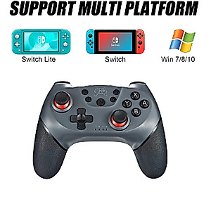 Rzzhgzq Wireless Controller for Switch/Switch Lite, Silver Switch Pro Controller Gamepad Joypad Remote with Gyro Axis, Turbo and Adjustable Wireless Controller for Girl,Boy,Men (SILVER)