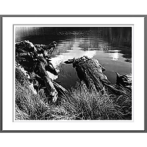 Shoreline, East Lake (#2)