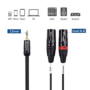 Cable Matters 3.5mm 1/8 Inch TRS to 2 XLR Cable 10 ft, Male to Male Aux to Dual XLR Breakout Cable