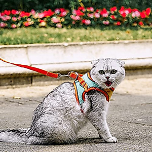 JSXD Cat Harness,Leash and Collar Set,Escape Proof Kitten Vest Harness for Walking,Easy Control Night Safe Pet Harness with Reflective Strap and Bell for Small Large Kitten,Fit for Puppy,Rabbit