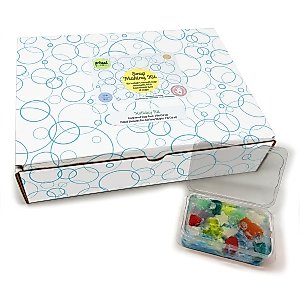 Primal Elements Seasons Greetings Soap Making Kit, Multicolor