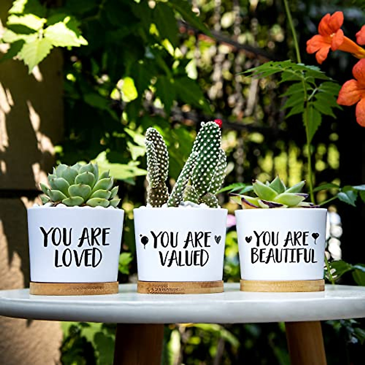Birthday Gifts for Women,Bestfriend Gifts for Women,Unique Gift Ideas for Birthday,Inspirational Gifts for Women,Graduation Gifts, Plastic Succulent Pots Gifts with Gift Boxed(You are Loved)