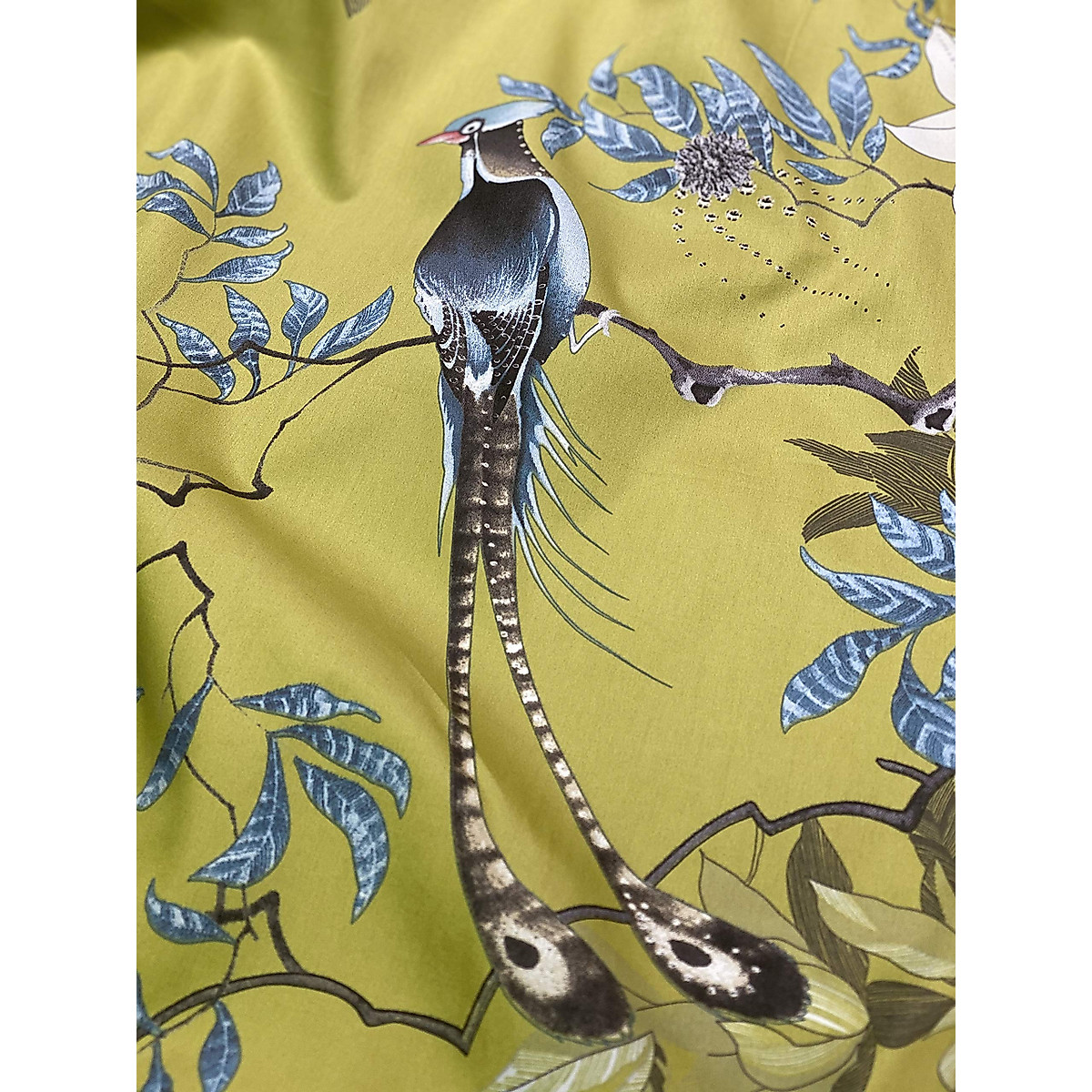 Exotic Modern Floral Print Bedding Birds Flowers Dusty Grey Design 100% Cotton Duvet Cover 3pc Set Hibiscus Blossom Branches in Muted Gray Blue (Queen, Citronelle Green)