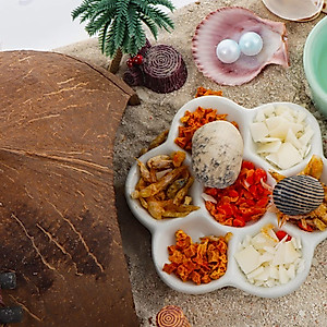 DQITJ 3 Pack Hermit Crab Hideout, Natural Coconut Shells Hut for Spider Hermit Crab Gecko Turtle Small Reptile Fish Tank Aquarium