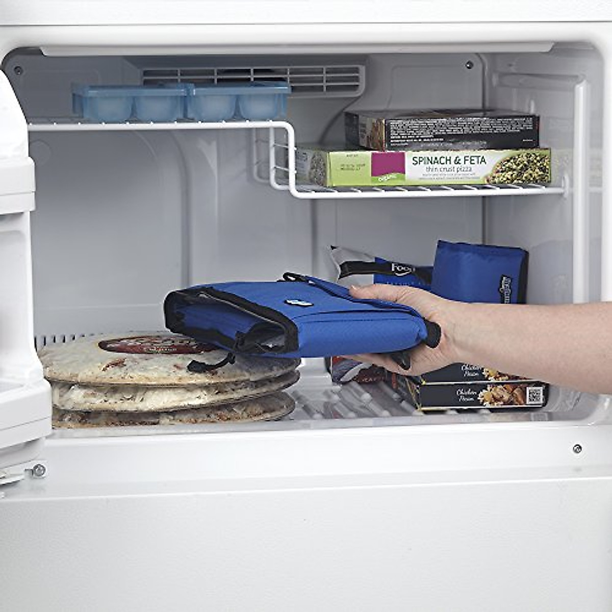 FlexiFreeze Freezable 9 Can Cooler, Royal Blue