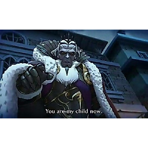 Fire Emblem Fates: Conquest (Nintendo 3DS)